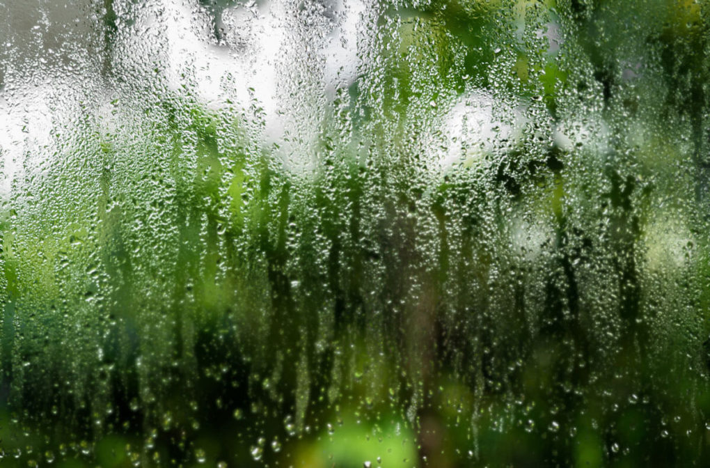 How to Control Condensation Using Wall Insulation? - Pricewise Insulation